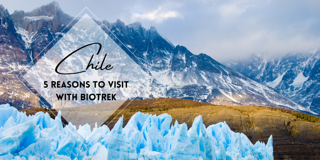 5 Reasons to Visit Chile - BioTrek Adventure Travels