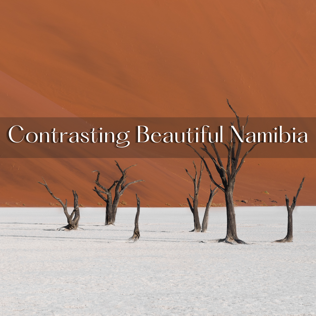 Contrasting Beautiful Namibia - BioTrek Adventure Travels